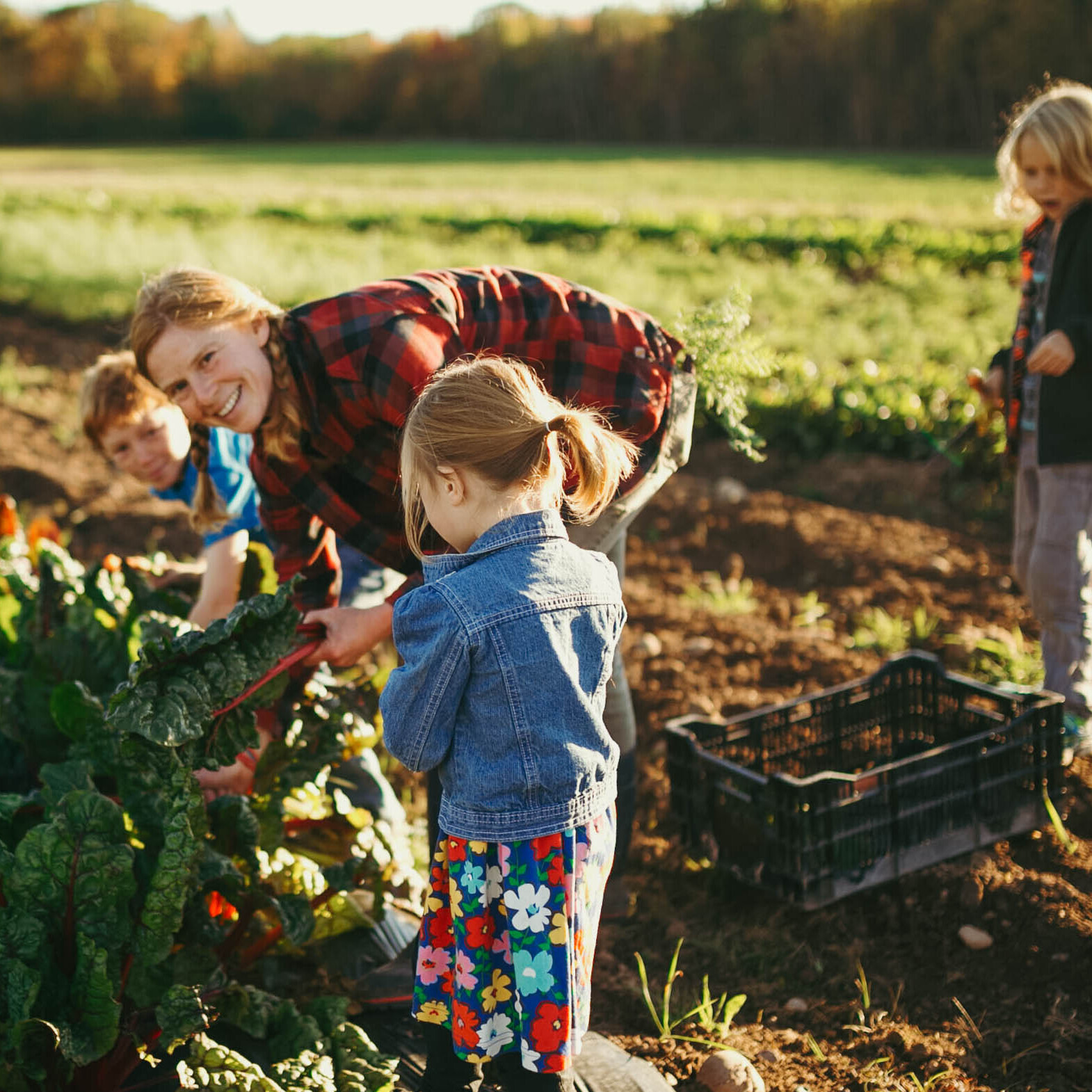 Invest in Your Soil — Vermont Compost Company